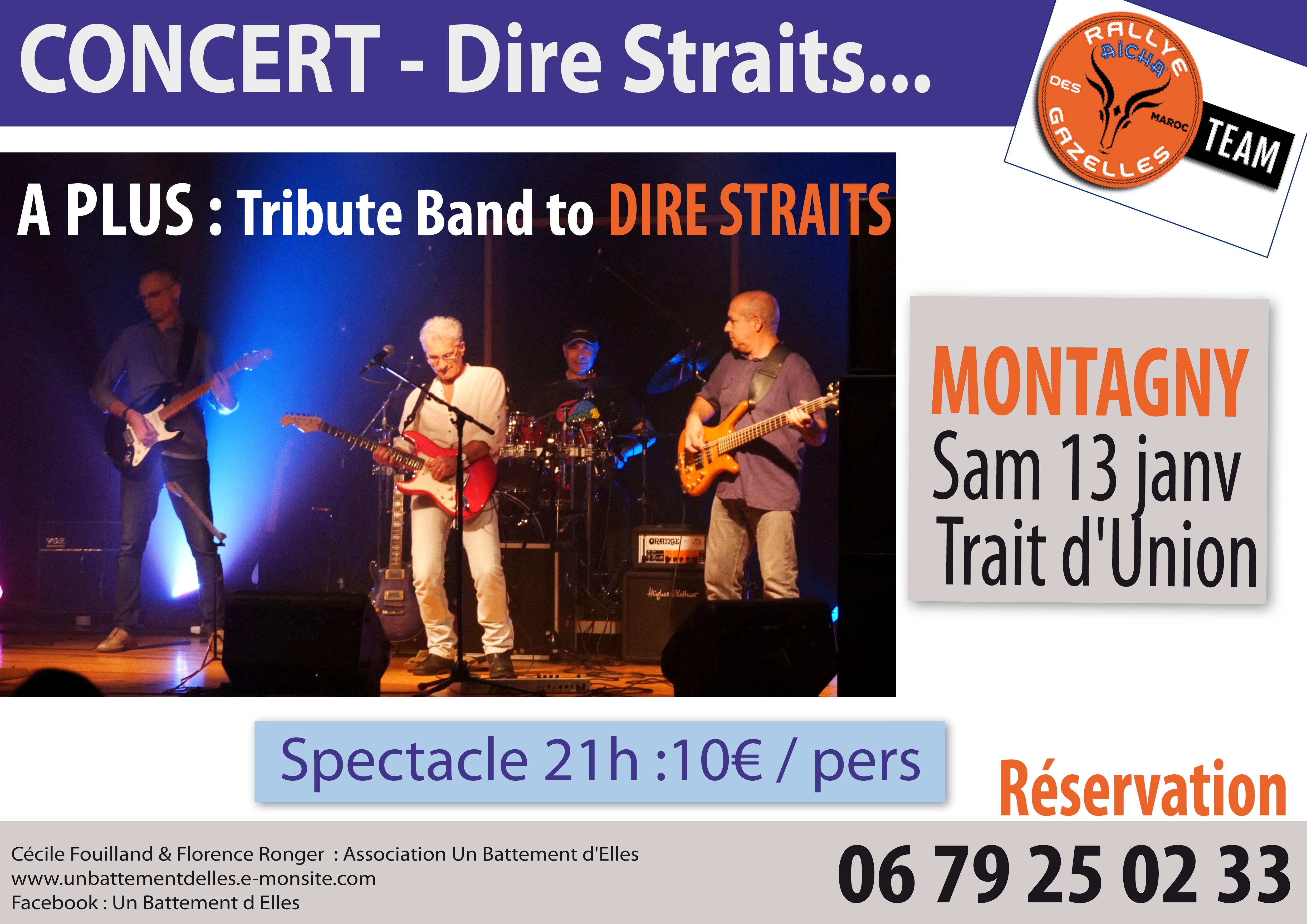 Concert Tribute Band to Dire Straits - Radio SCOOP