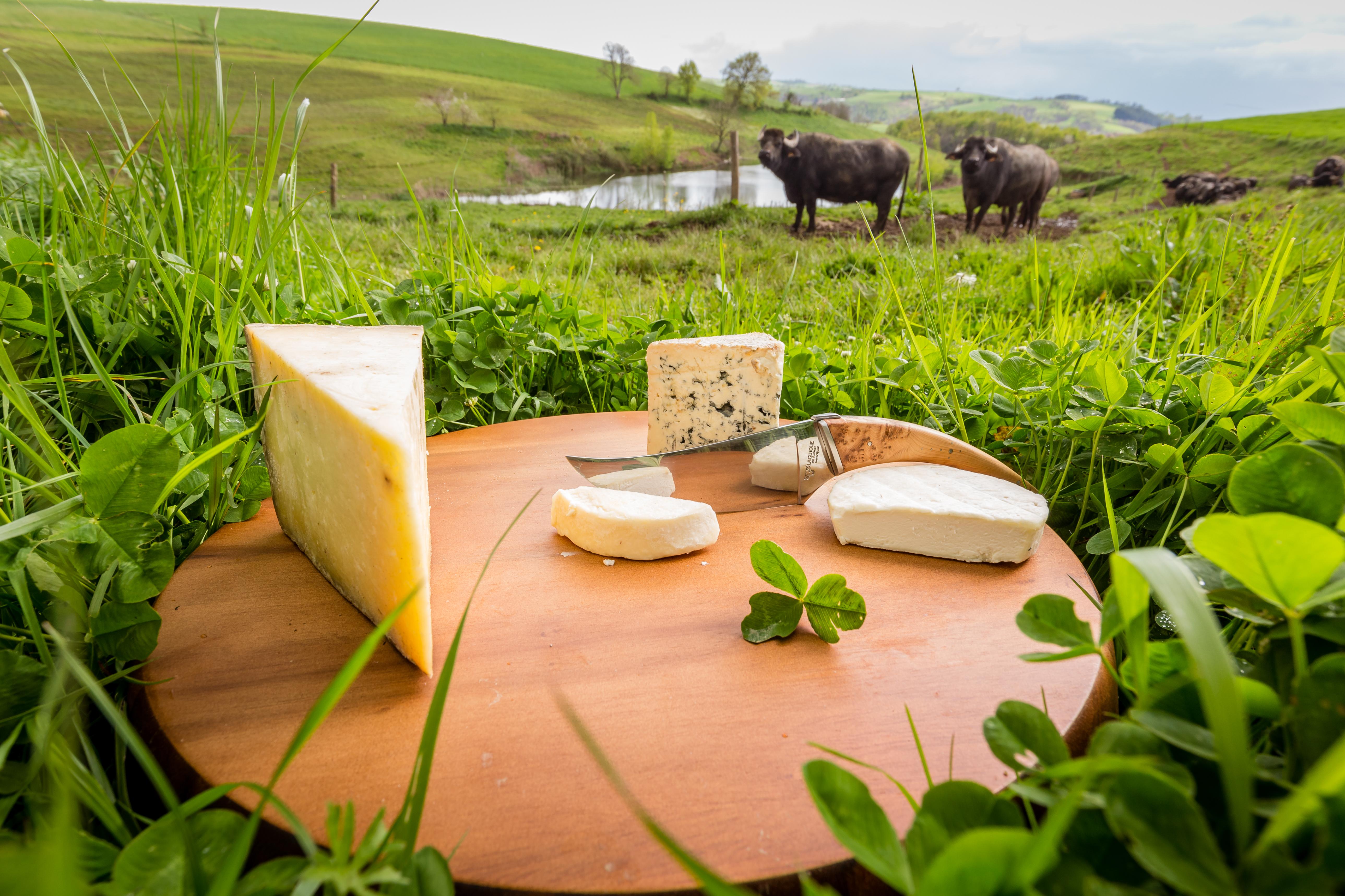 Un fromager auvergnat lance le premier distributeur automatique... de ...