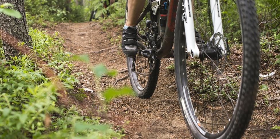 Une école pour apprendre à faire du VTT en montagne - Radio SCOOP