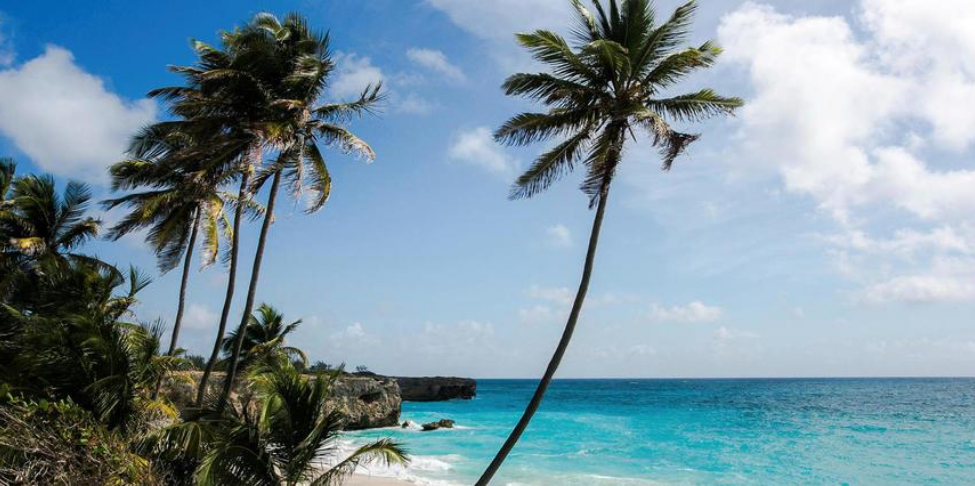 L'île de la Barbade vous propose de venir faire du télé-travail pendant ...