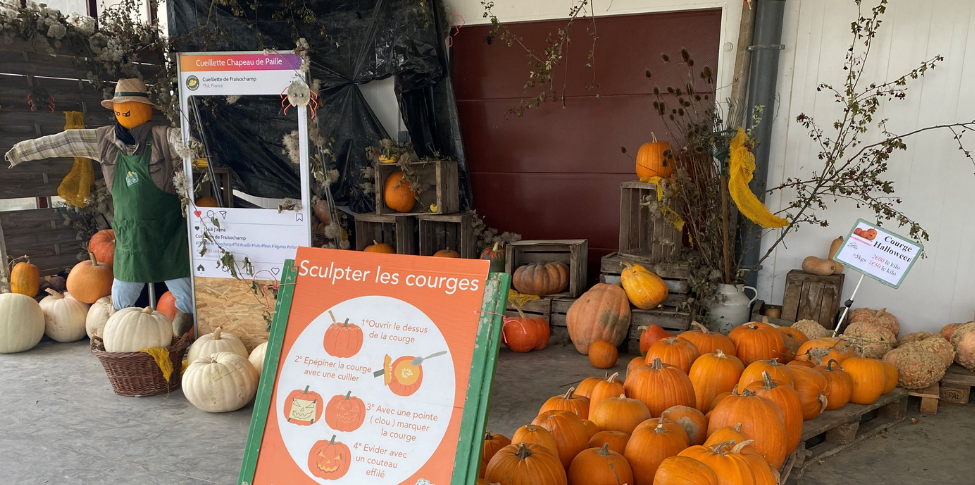 Halloween : comment bien sculpter sa citrouille ? - Radio SCOOP