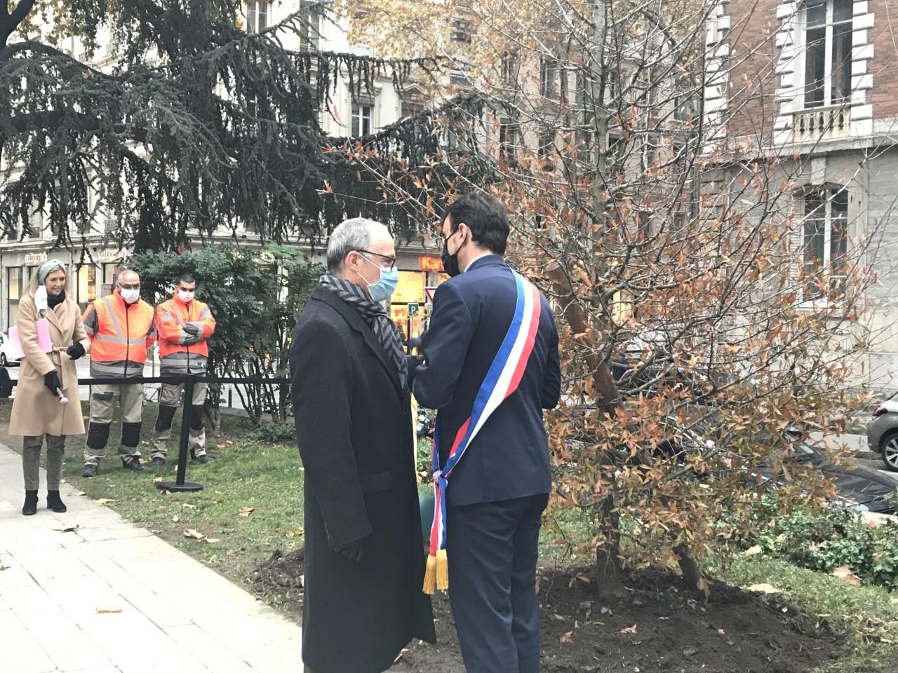 Lyon : pourquoi le maire a-t-il voulu planter un arbre de la République ...