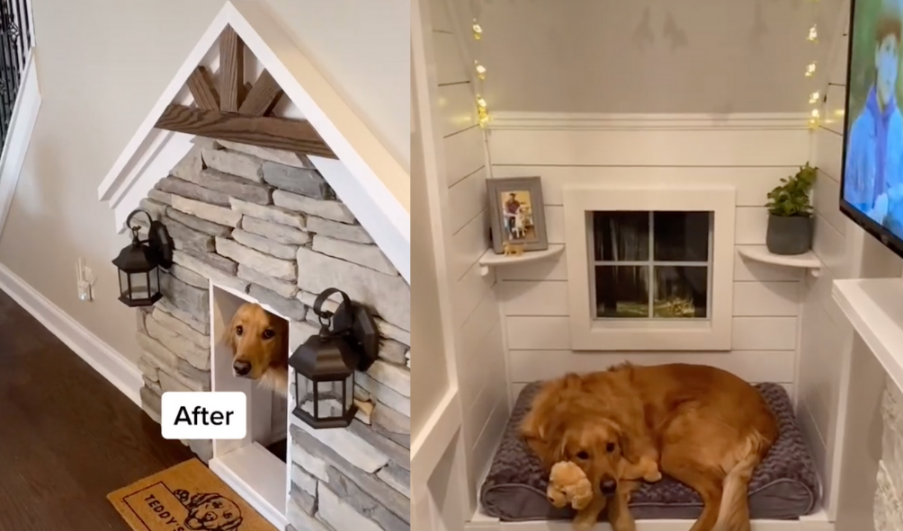 [VIDÉO] Il construit une maison incroyable pour son chien et fait le ...