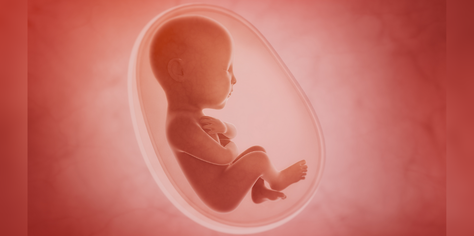 Semaine de la croissance : mieux comprendre le syndrome de Silver ...