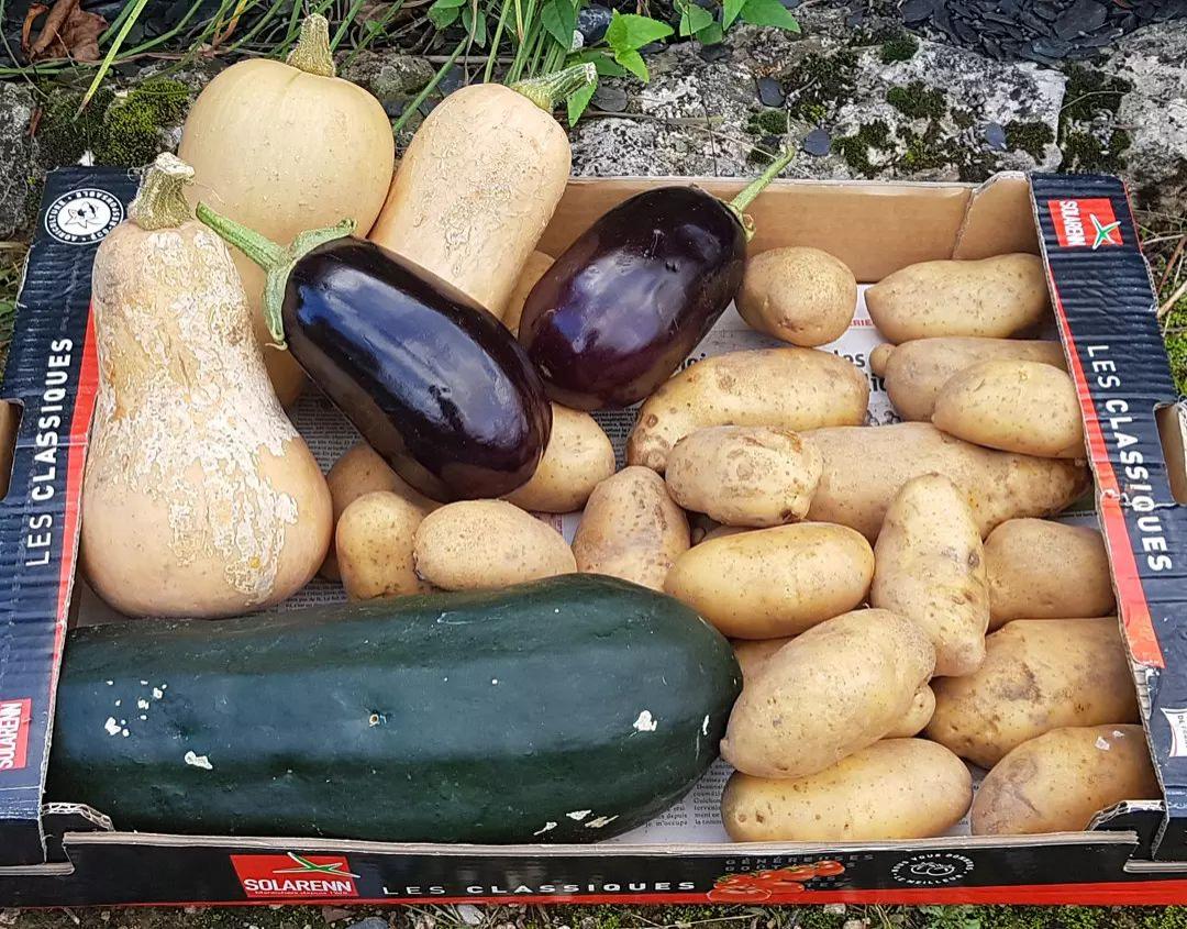 Vos surplus de fruits et légumes pour les plus démunis - Radio SCOOP