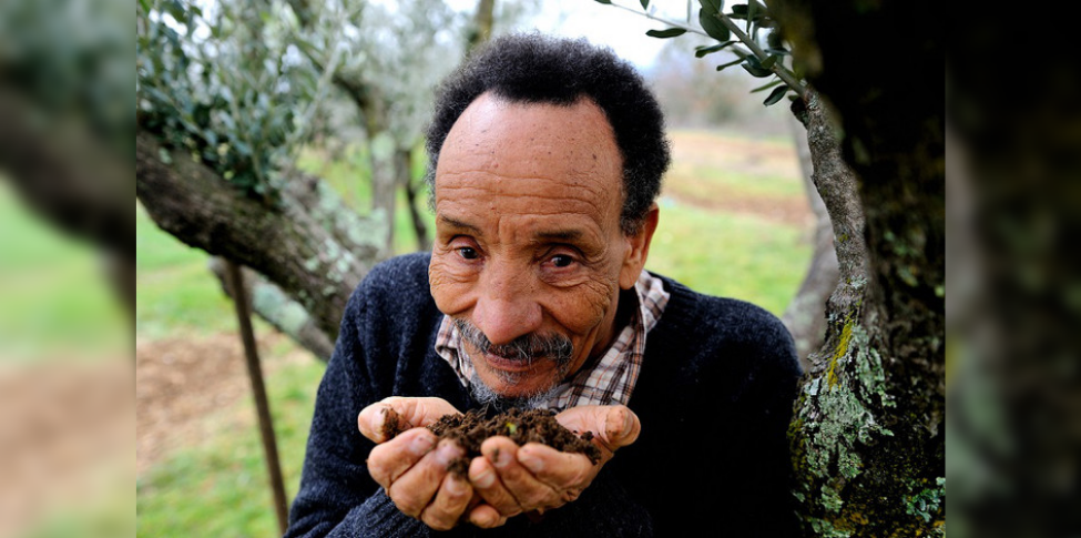 Pierre Rabhi, écrivain et pionnier de l'agroécologie, est décédé ...