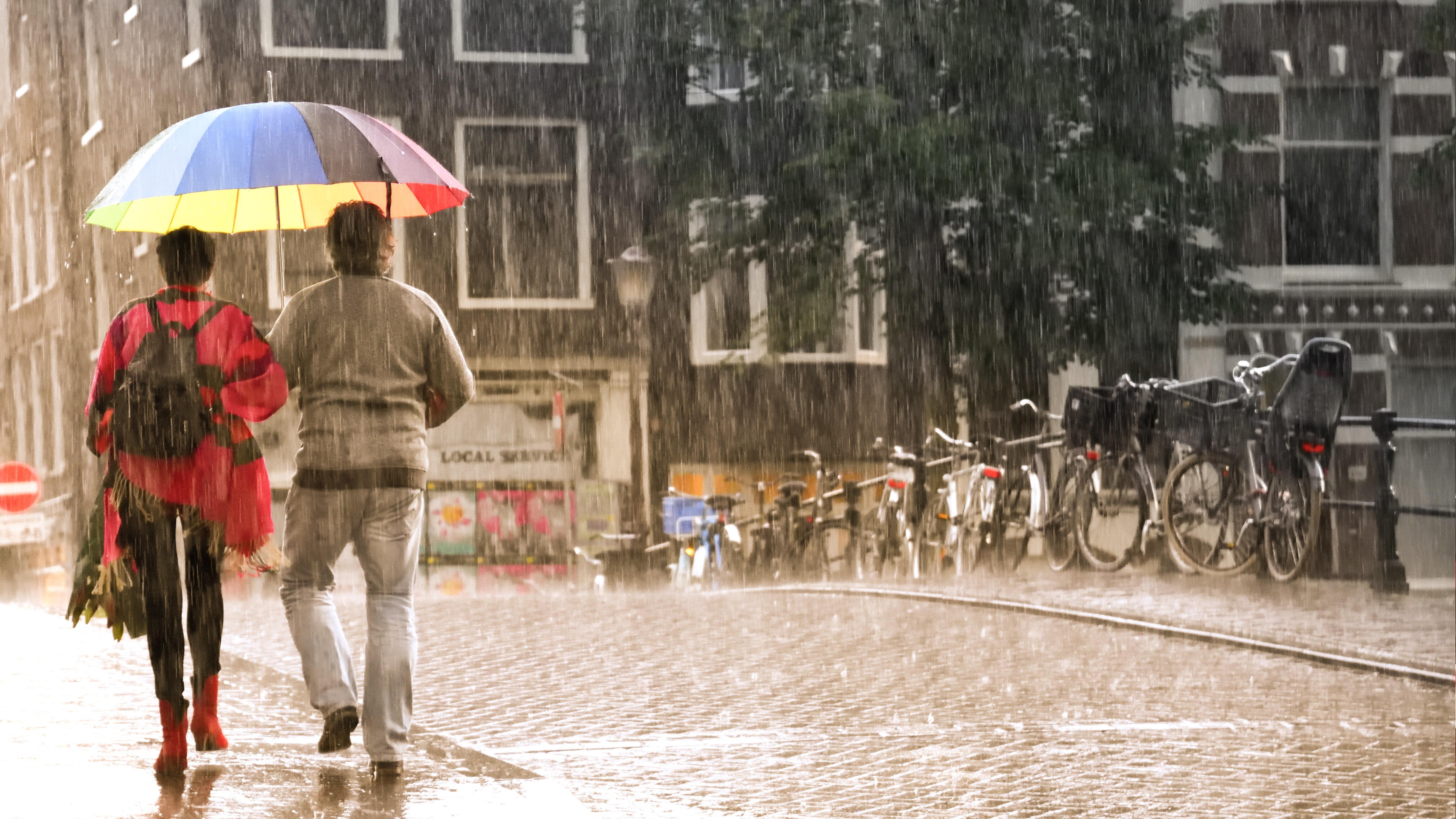 Pluie : la vigilance jaune activée dans ces départements d’Auvergne ...