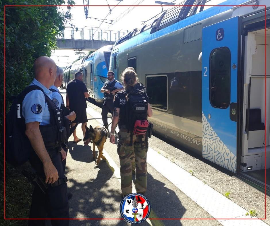 Infractions, détention d’armes, stupéfiants : un contrôle ferroviaire ...