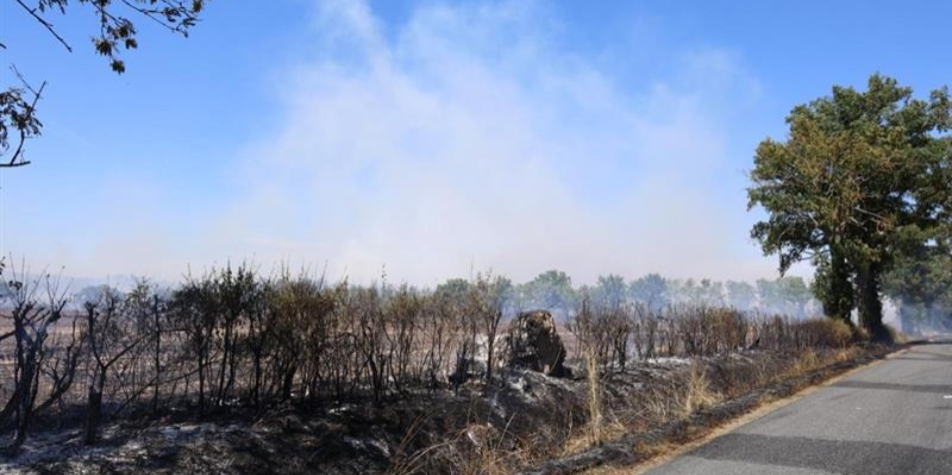 [MAJ] Allier : un important incendie ravage 75 hectares à Chézy - Radio ...